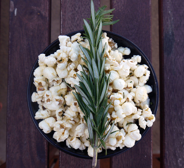 Rosemary Olive Oil Popcorn – O-Live & Co.